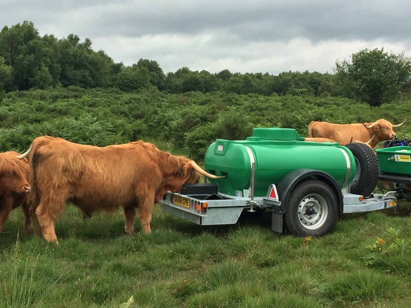Keeping Cows: A Practical Guide to Keeping Cattle in the UK - Trailer ...